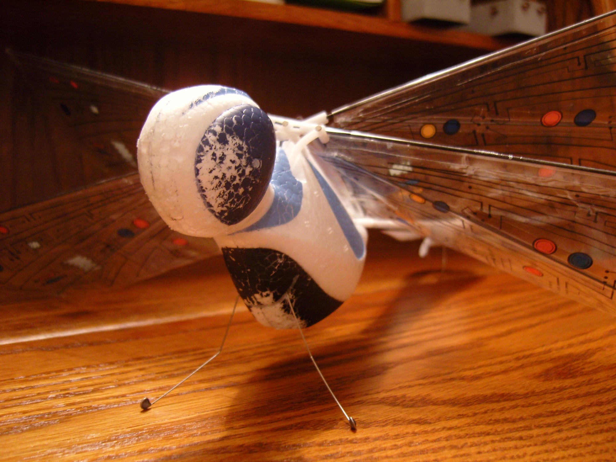 A Resurrected Ornithopter – the Flytech Dragonfly | Xinhai Dude